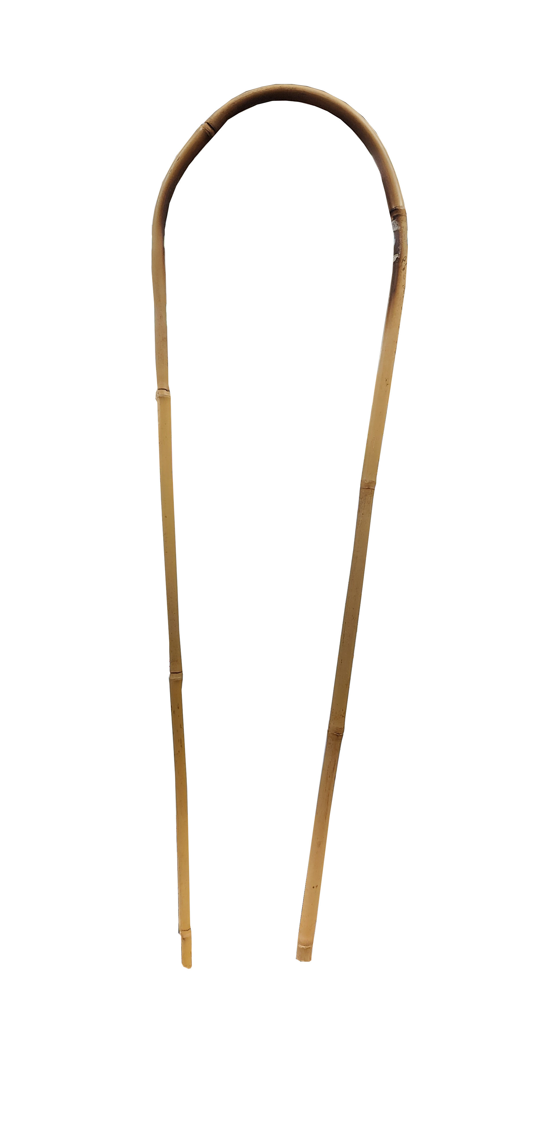 MGP Bamboo U Hoop Plant Support 24" Set Of 4 - Wayfair Canada