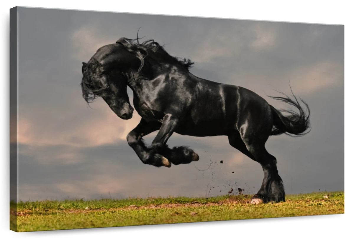 Ebern Designs Brampt Striking Friesian Stallion | Wayfair