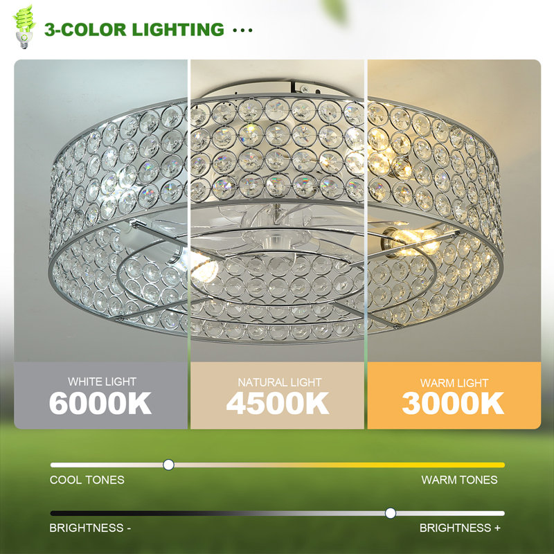 Williston Forge Karnisha 19.6'' Ceiling Fan with Light Kit | Wayfair