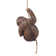 Design Toscano Hanging Horatio the 3-Toed Sloth Statue & Reviews | Wayfair