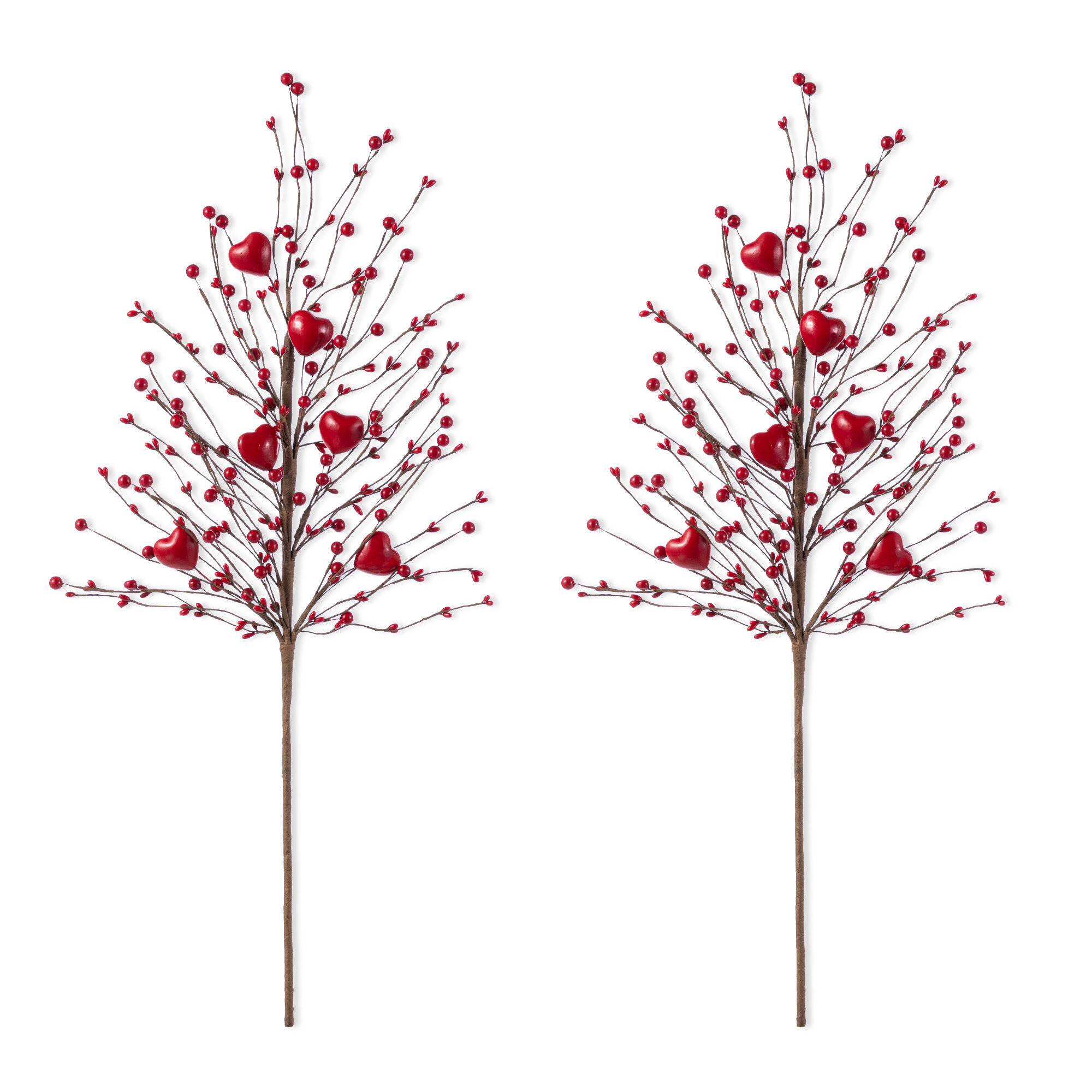 Ophelia & Co. Set Of 2 28"H Valentine's Berry &Heart Picks & Reviews ...