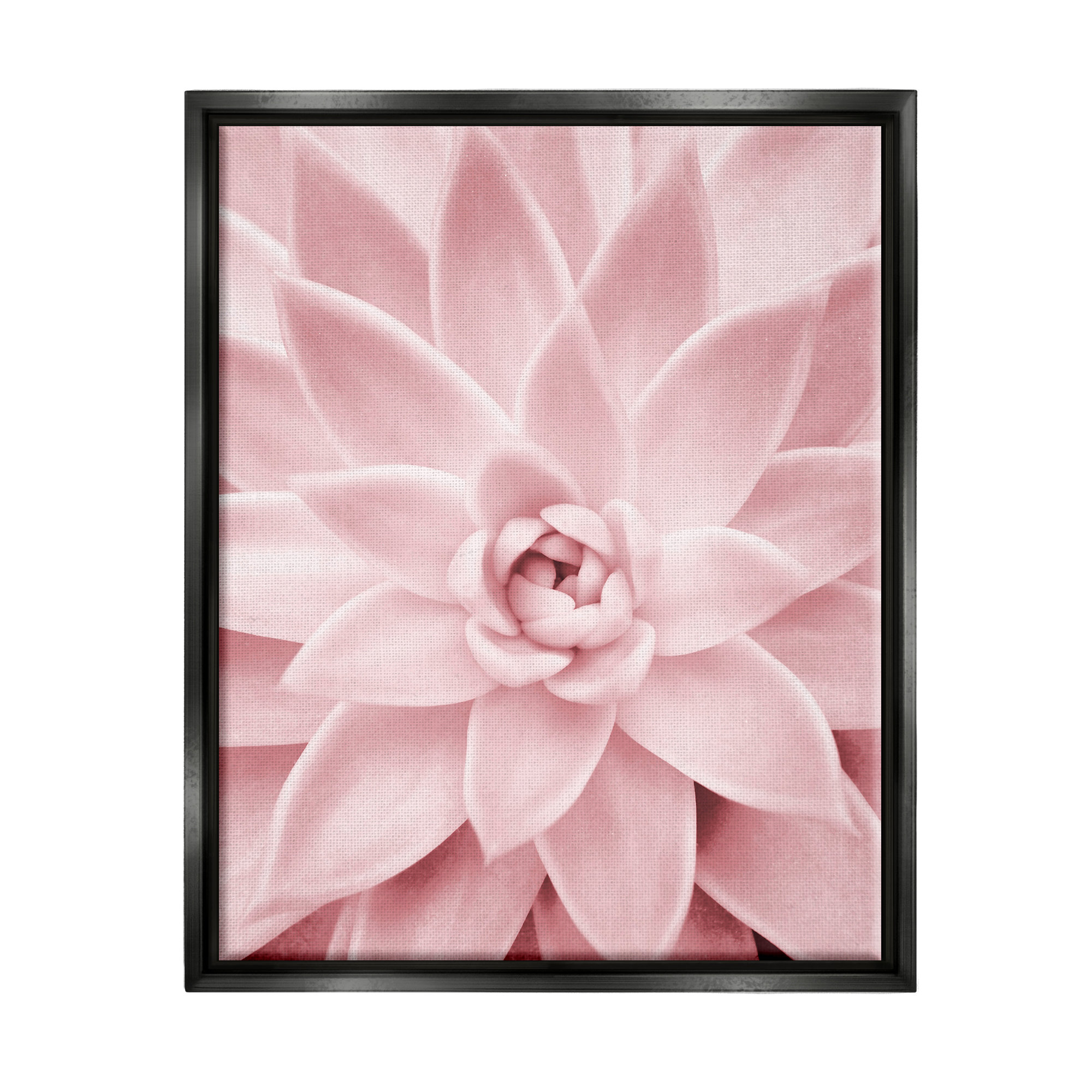 Latitude Run® Pastel Pink Succulent Framed Floater Canvas Wall Art ...