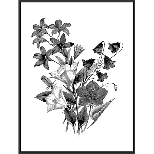 JBass Grand Gallery Collection Botanical Black And White Botanical ...