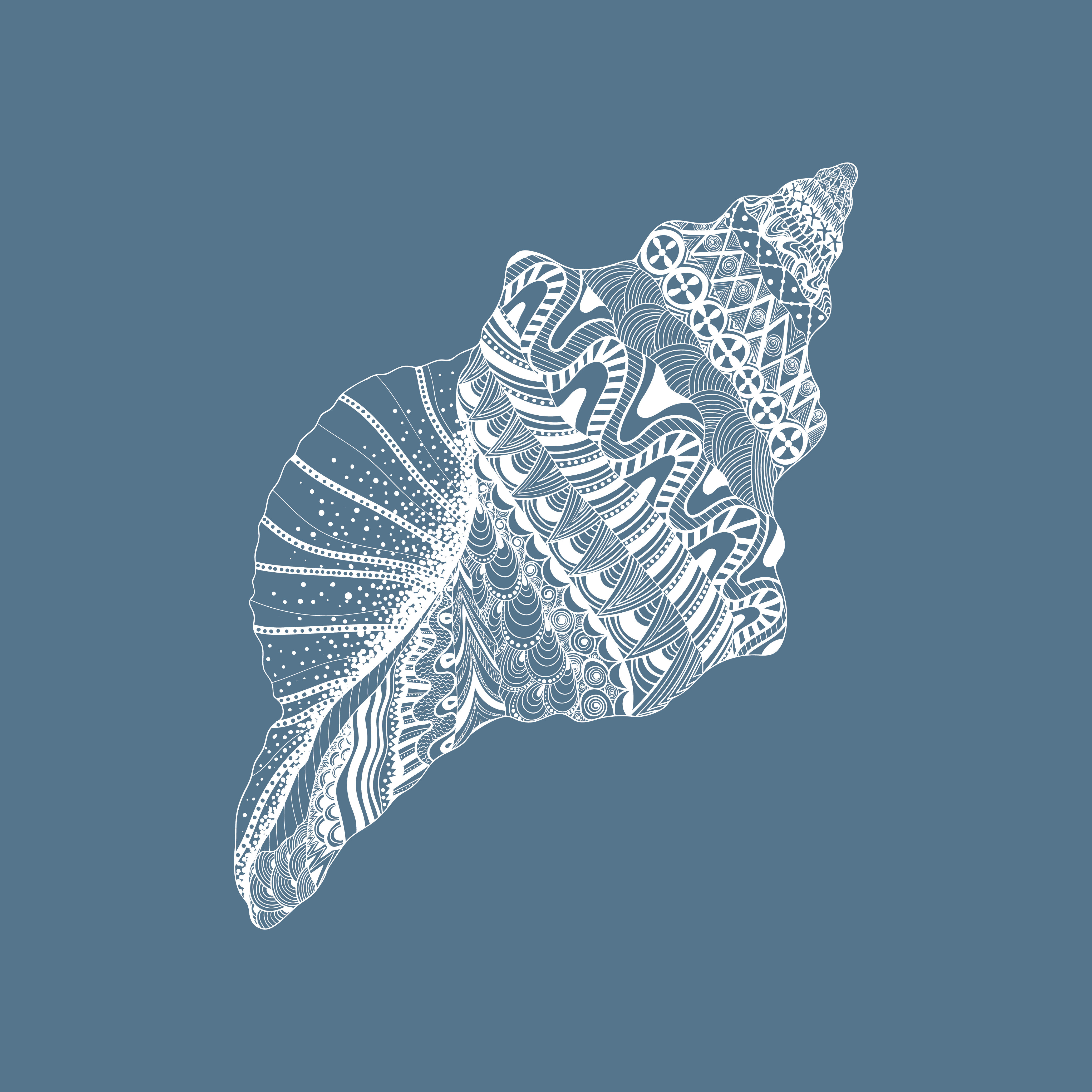 Rosecliff Heights Sea Cockleshell by I Panki - Wrapped Canvas Graphic ...