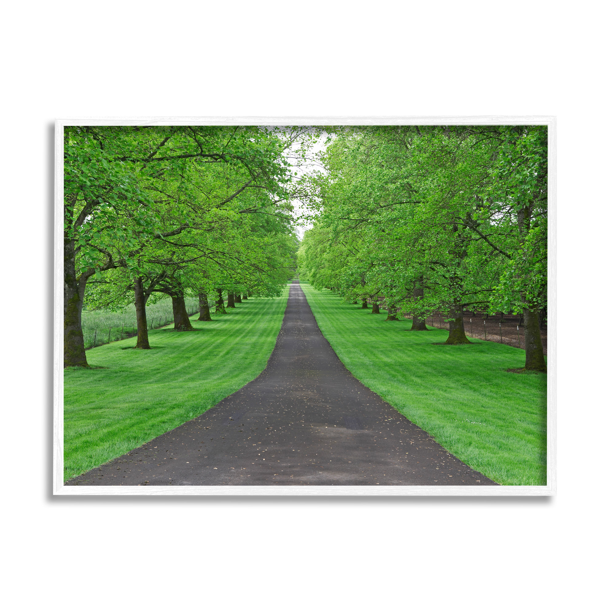 Stupell Industries Tree Grove Path Landscape Canvas Wall Art Design by ...