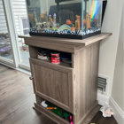 Archie & Oscar™ Agamemnon Rectangle Aquarium Stand & Reviews | Wayfair