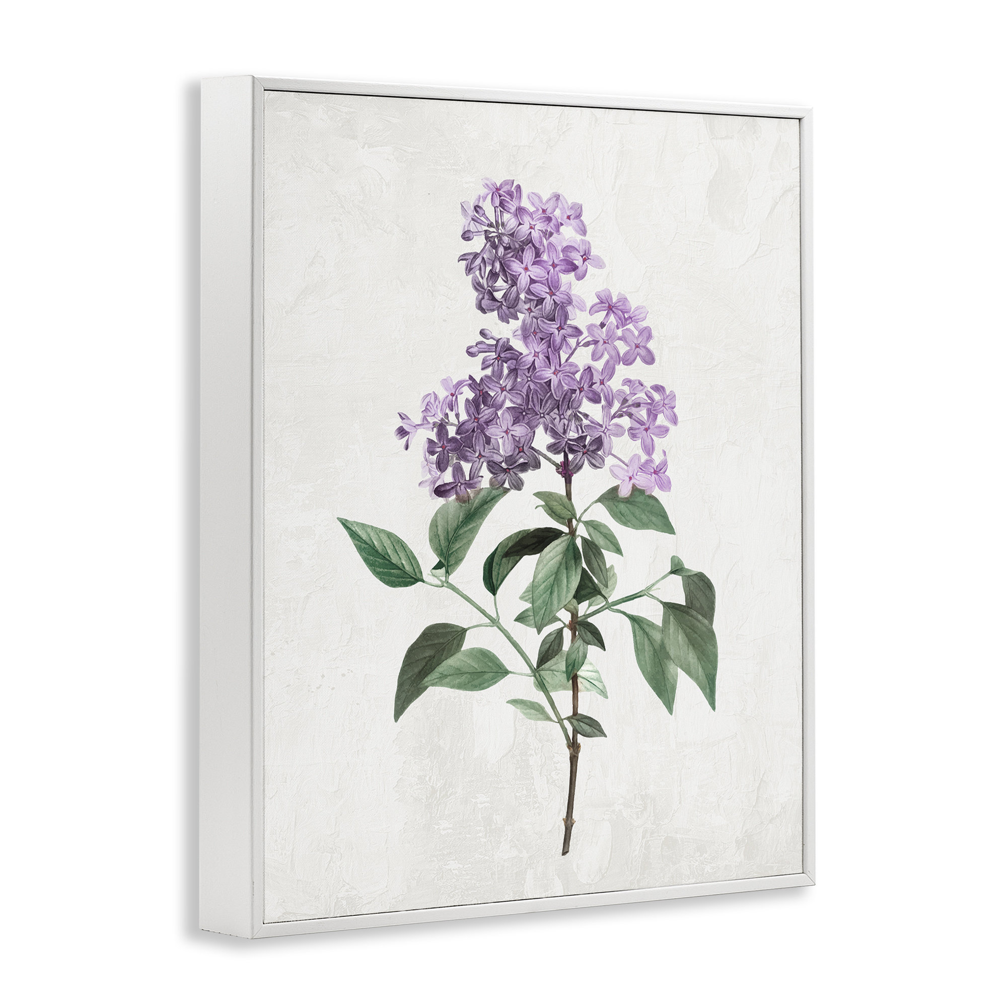 Red Barrel Studio® Lilac Herb Blossoms Framed Giclee, design by Kim ...