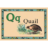 Quail - Wayfair Canada