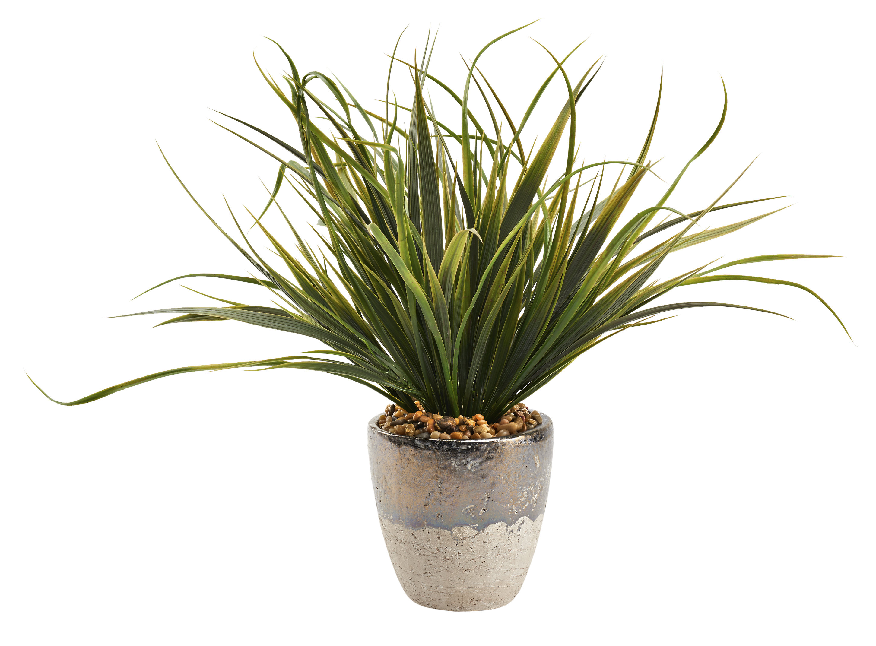 Primrue Grass In Two-Toned Ceramic Planter | Wayfair