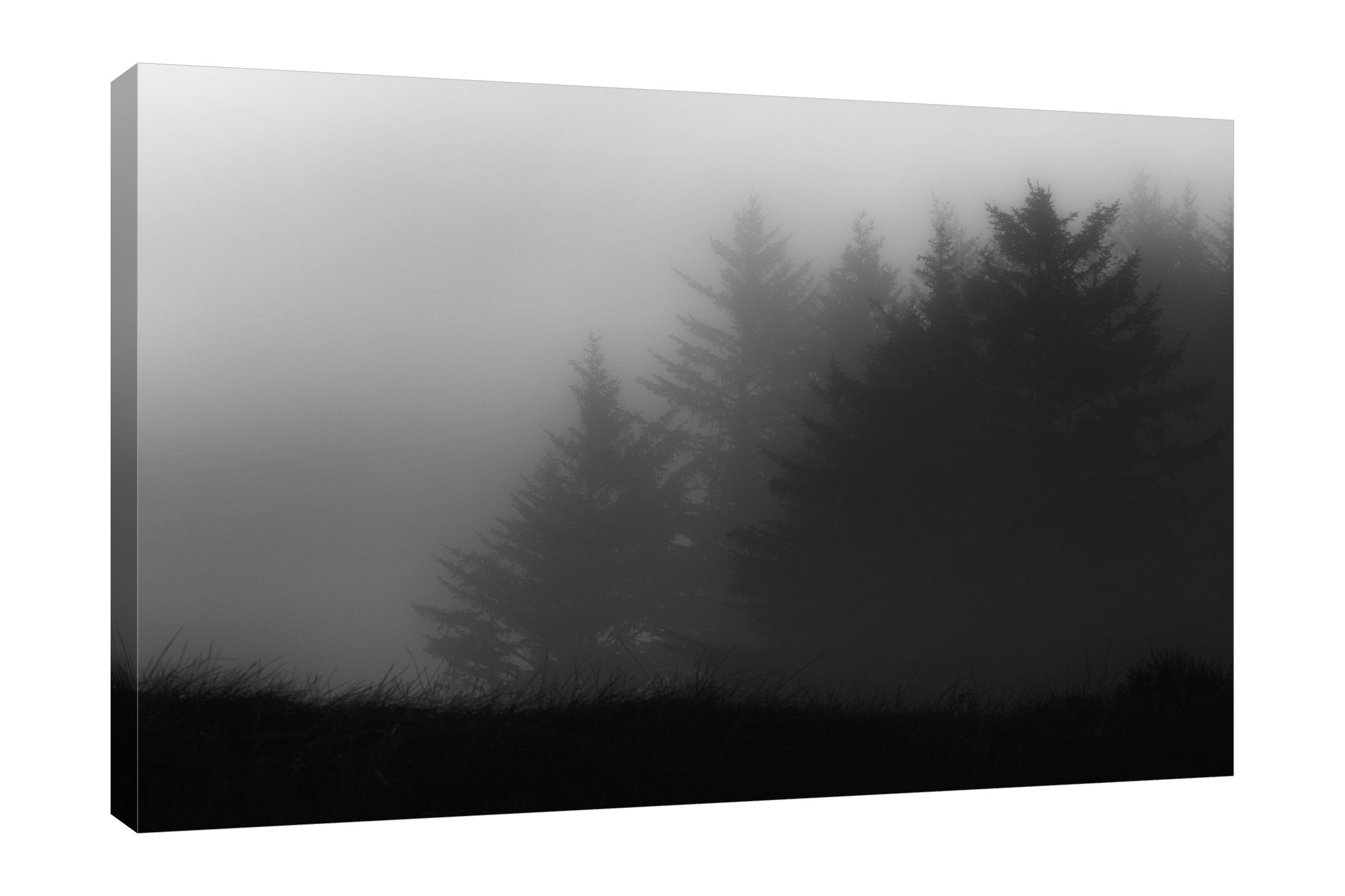 Jaxson Rea "Trees In Fog" Gallery Wrapped Canvas By Joseph Rowland ...