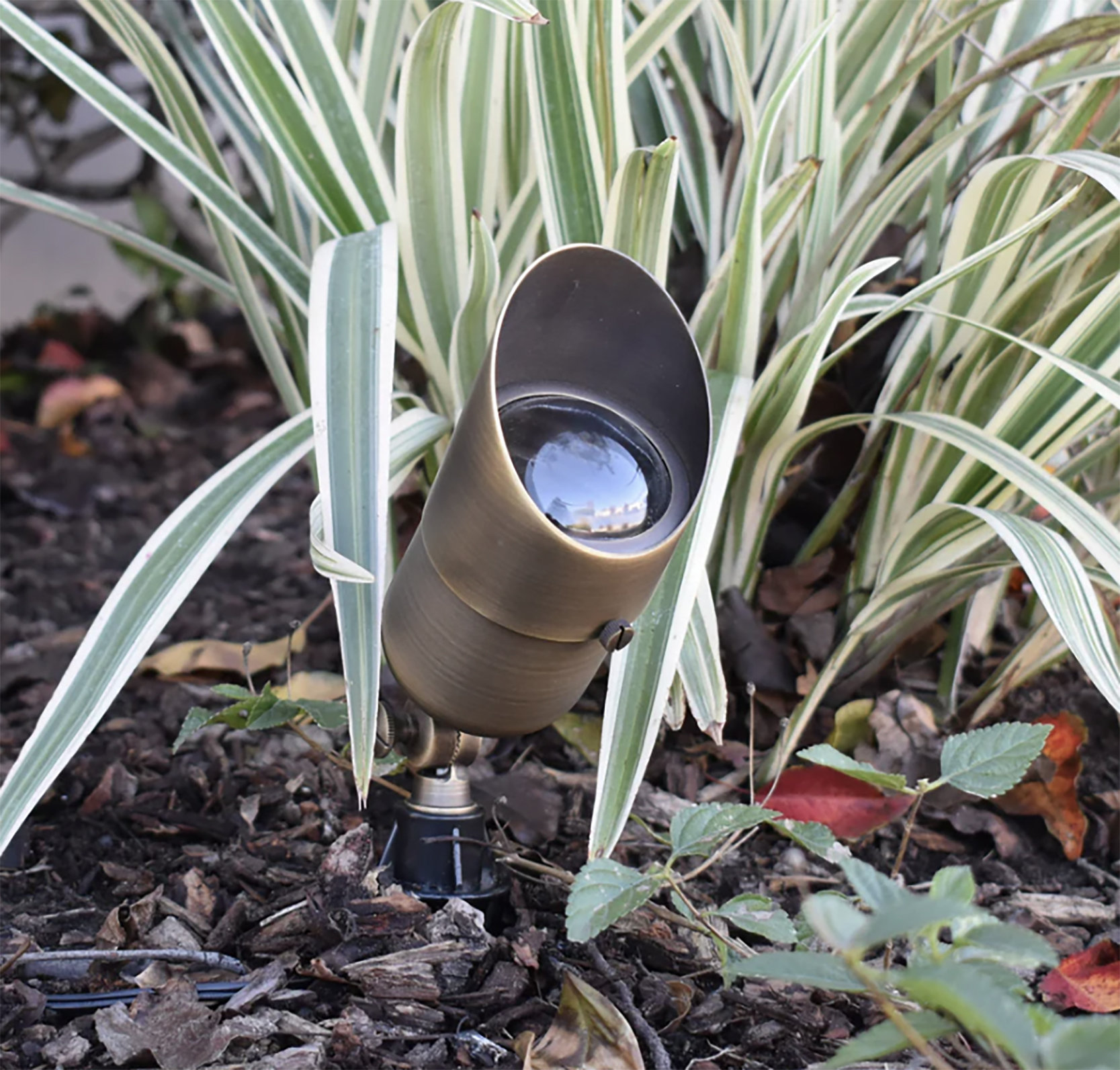 Cardon Lighting Antique Bronze Low Voltage Spot Light - Wayfair Canada