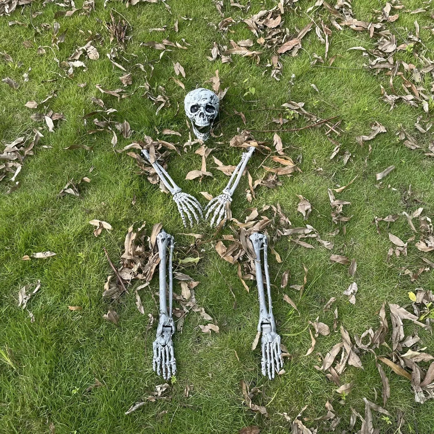 The Holiday Aisle® Halloween Decorations Outdoor 5 Piece Set Skeleton ...