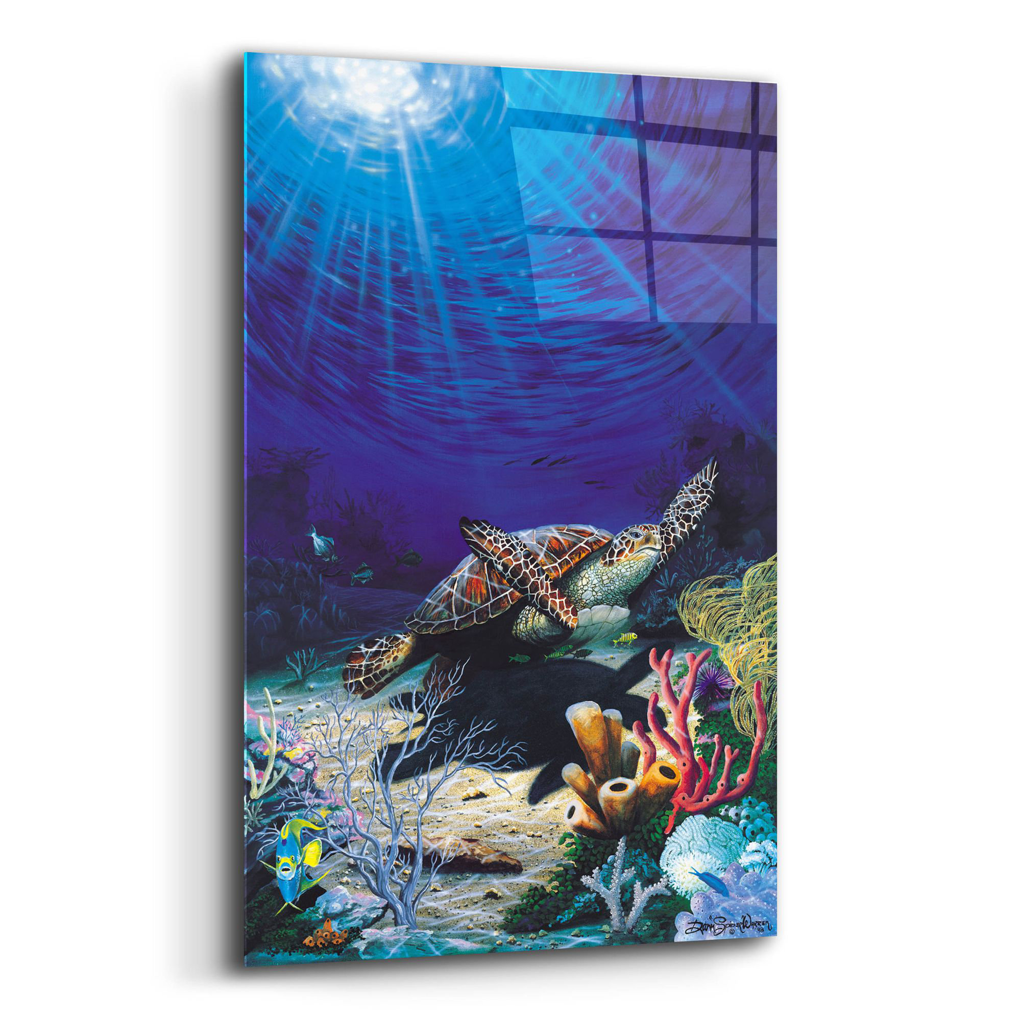 Dovecove 'Soaring The Abyss' By Dann Spider Warren, Acrylic Glass Wall ...