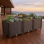 Latitude Run® Weather-Resistant Raised Planter Boxes - Extra Deep Self ...