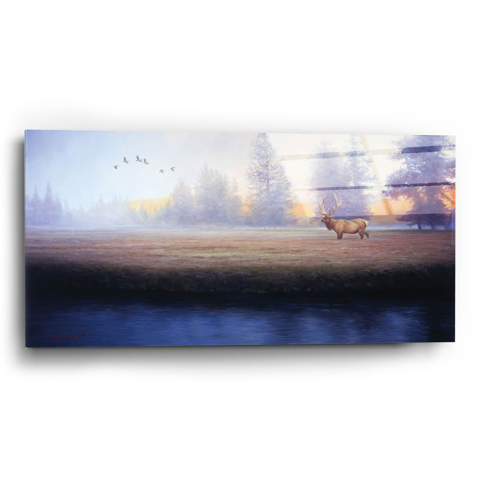 Red Barrel Studio® Morning Splendor On Plastic/Acrylic by Adriano ...