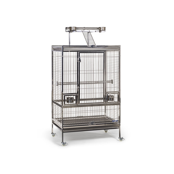Large Bird Cages | Wayfair