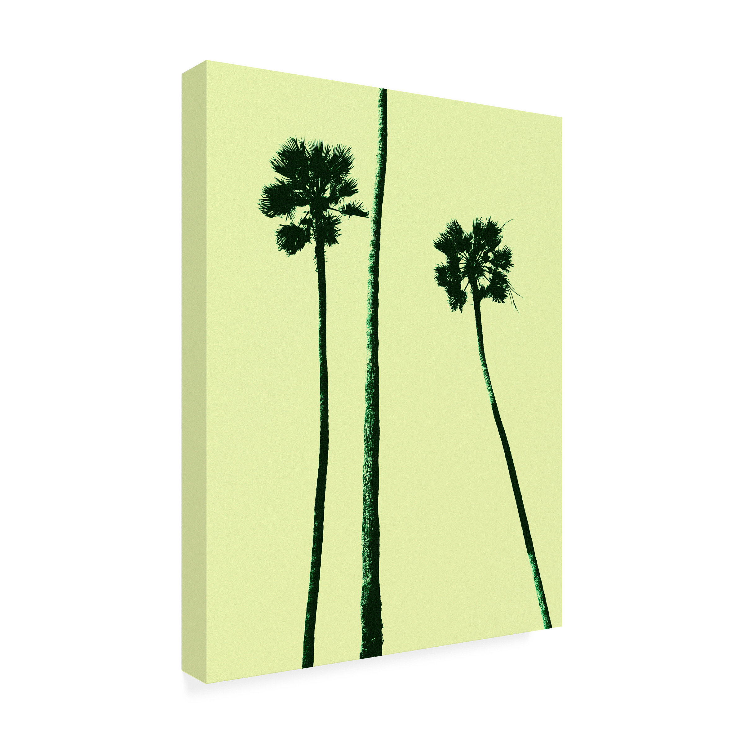 Bay Isle Home™ Erik Asla ''Palm Trees 2000 (Cyan)'' Outdoor Canvas ...