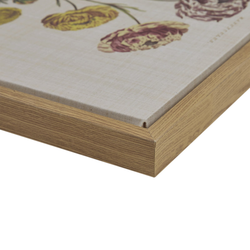 Madison Park Herbal Botany 4-Piece Framed Canvas Wall Art Set with ...