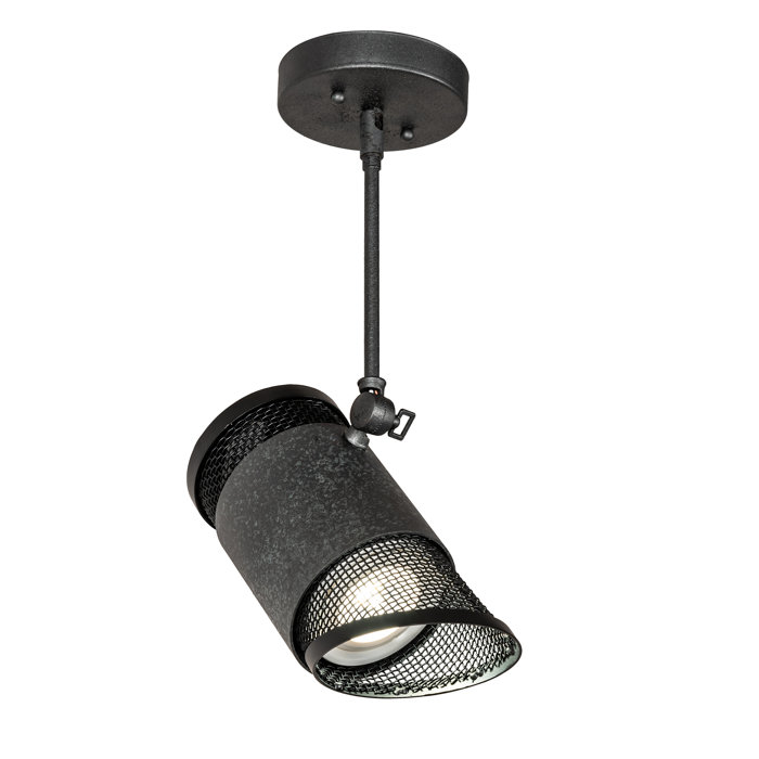 Meyda Lighting 1 - Light Pendant | Perigold