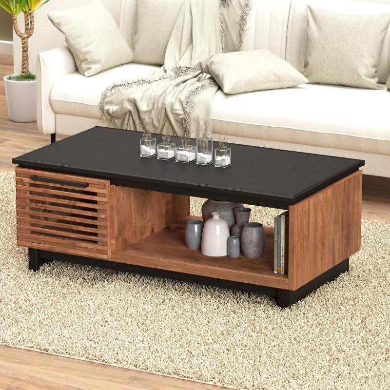 Trent Austin Design® Liddel 47" Modern Storage Coffee Table, Fully ...