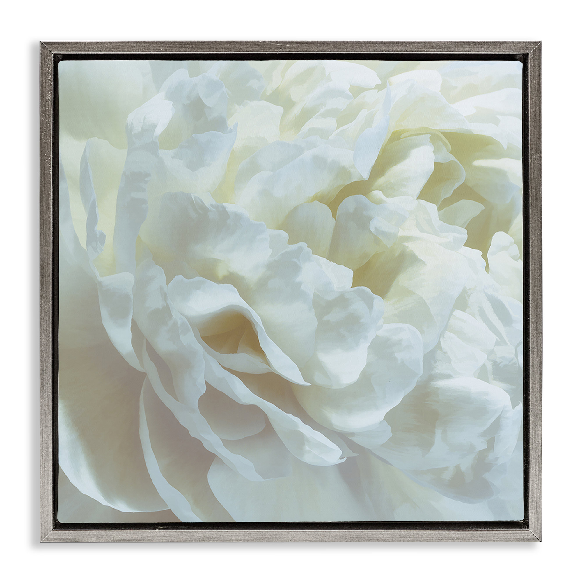 Latitude Run® Elegant White Petals Floating Frame, design by David ...
