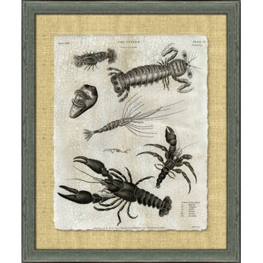 Wendover Art Group Crackled Crustacean I - Picture Frame Graphic Art on ...