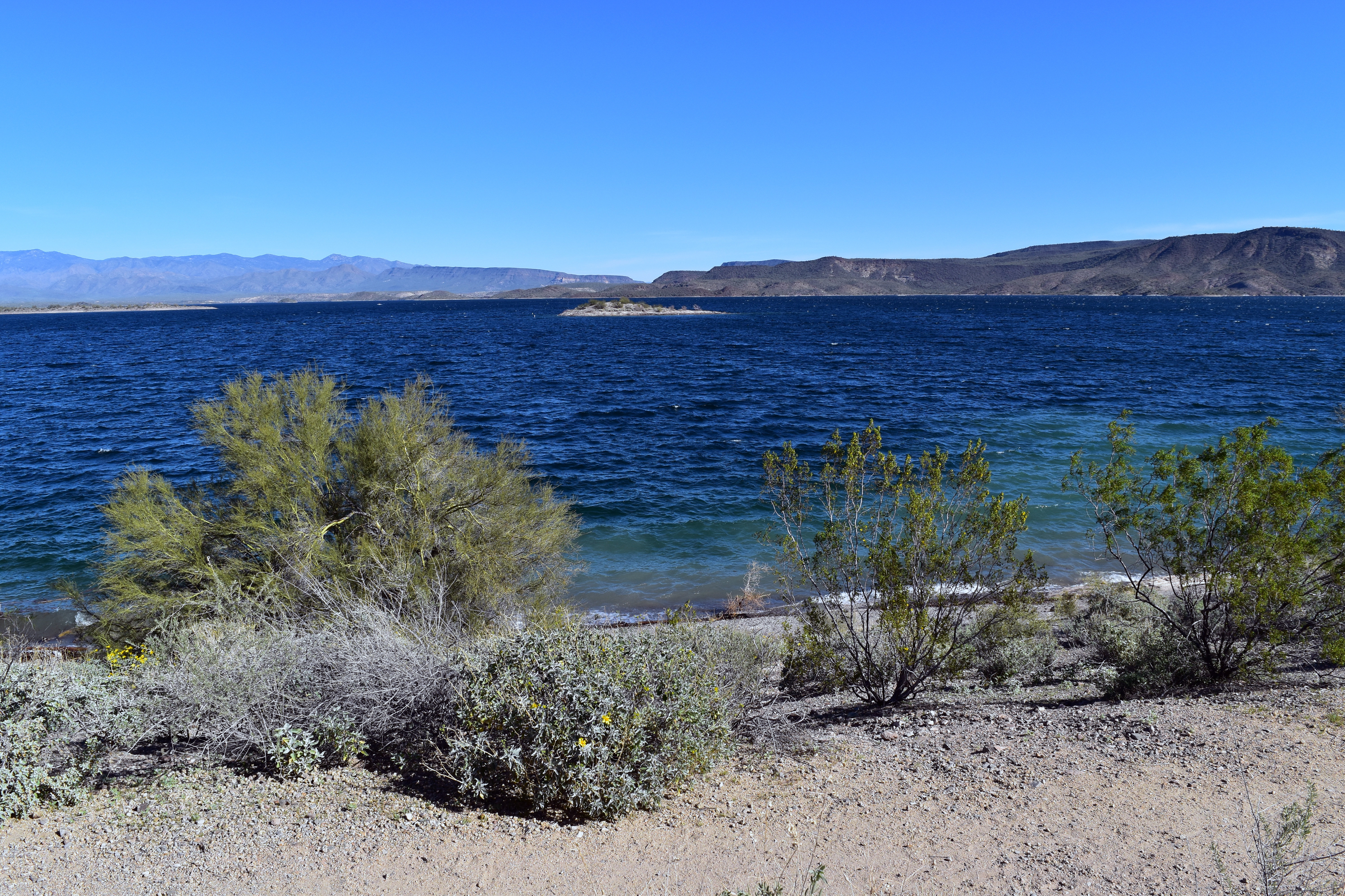 Millwood Pines Lake Pleasant by Greg Thomsen - Wrapped Canvas ...