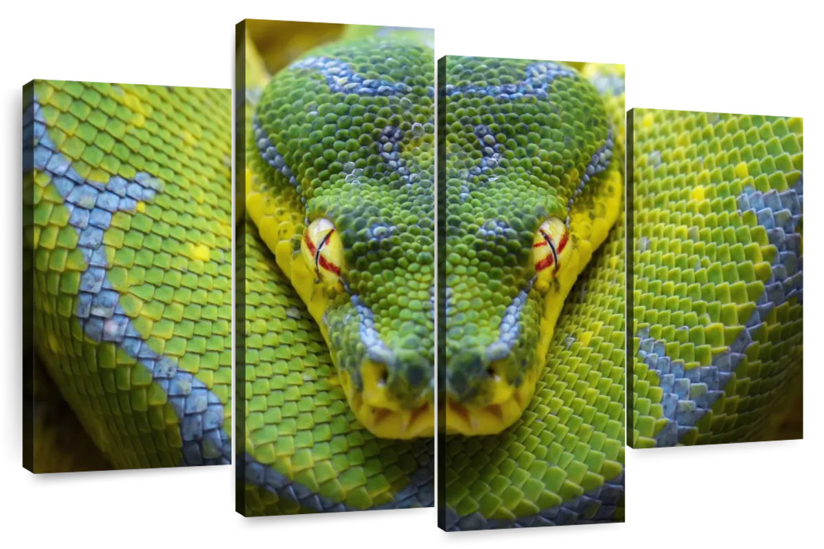 Ebern Designs Brampt Fierce Green Tree Python | Wayfair