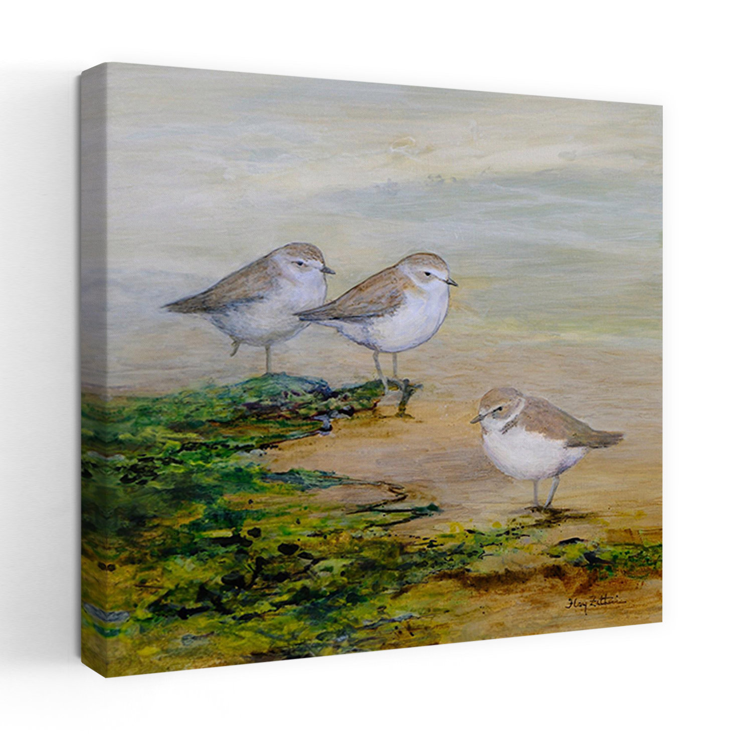 Lark Manor™ Snowy Plovers Trio Contemporary Bird Wildlife Art | Wayfair