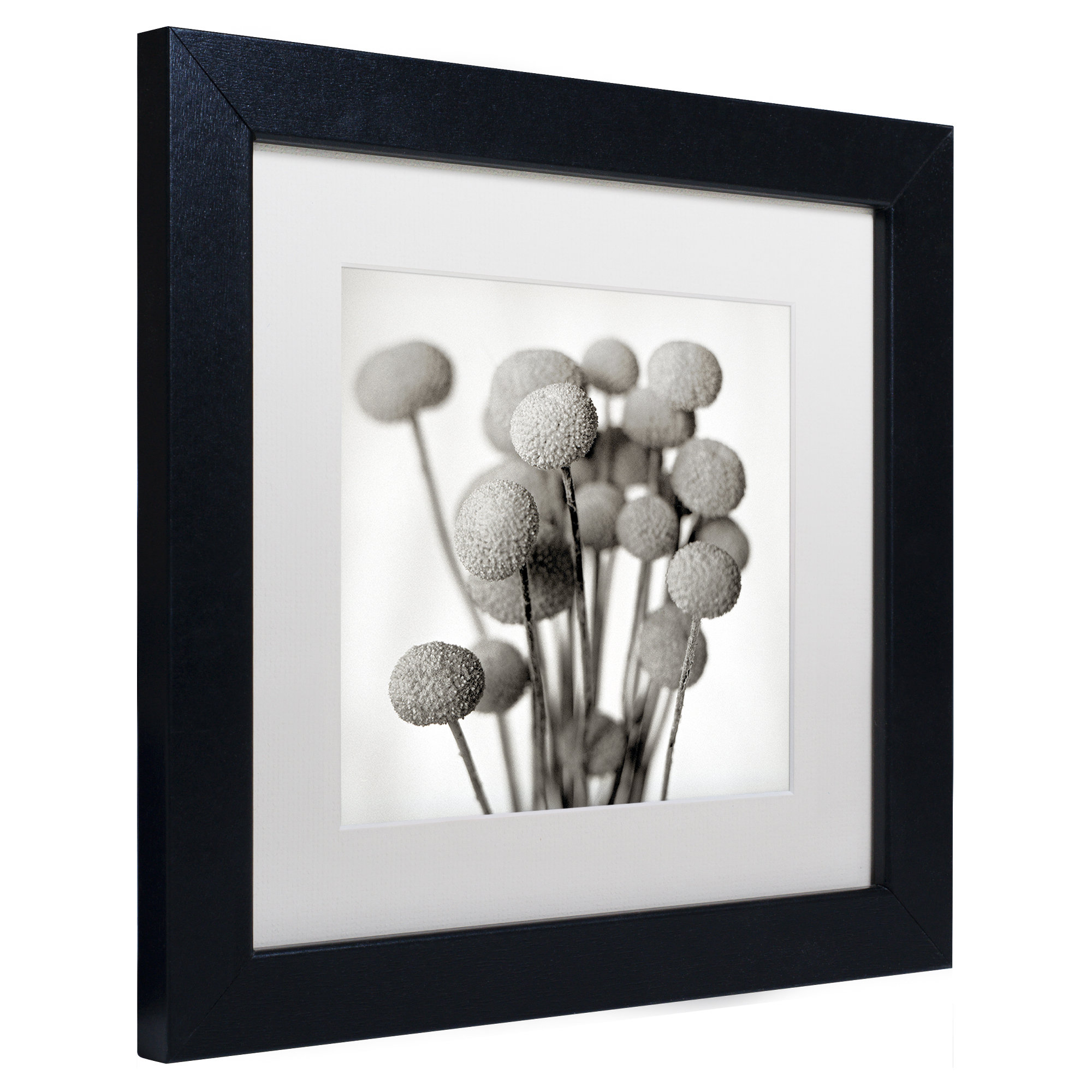 Ebern Designs Alan Blaustein 'Florison XXXIII' Framed Photographic ...