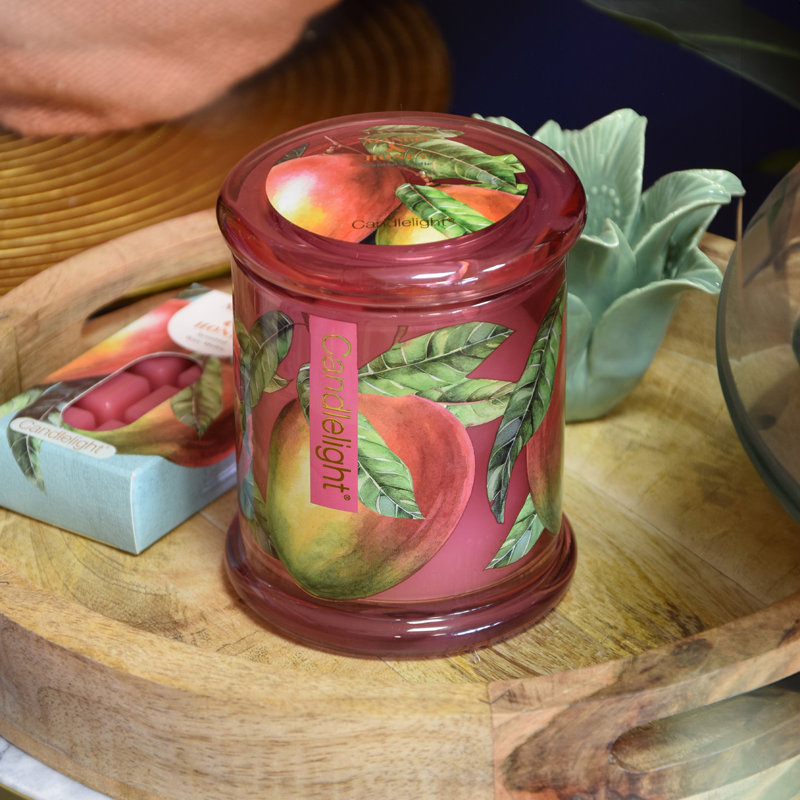 Lily Manor Large Glass Lidded Jar Mango And Honey | Wayfair.co.uk
