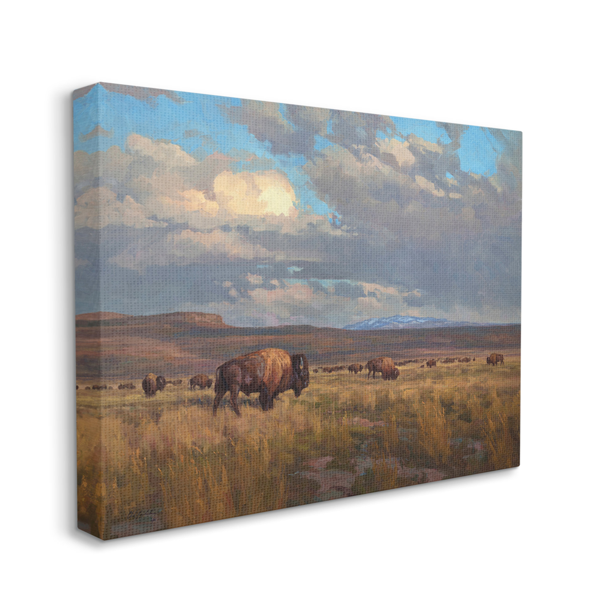 Union Rustic Buffalo Cloudy Landscape On Canvas Print | Wayfair