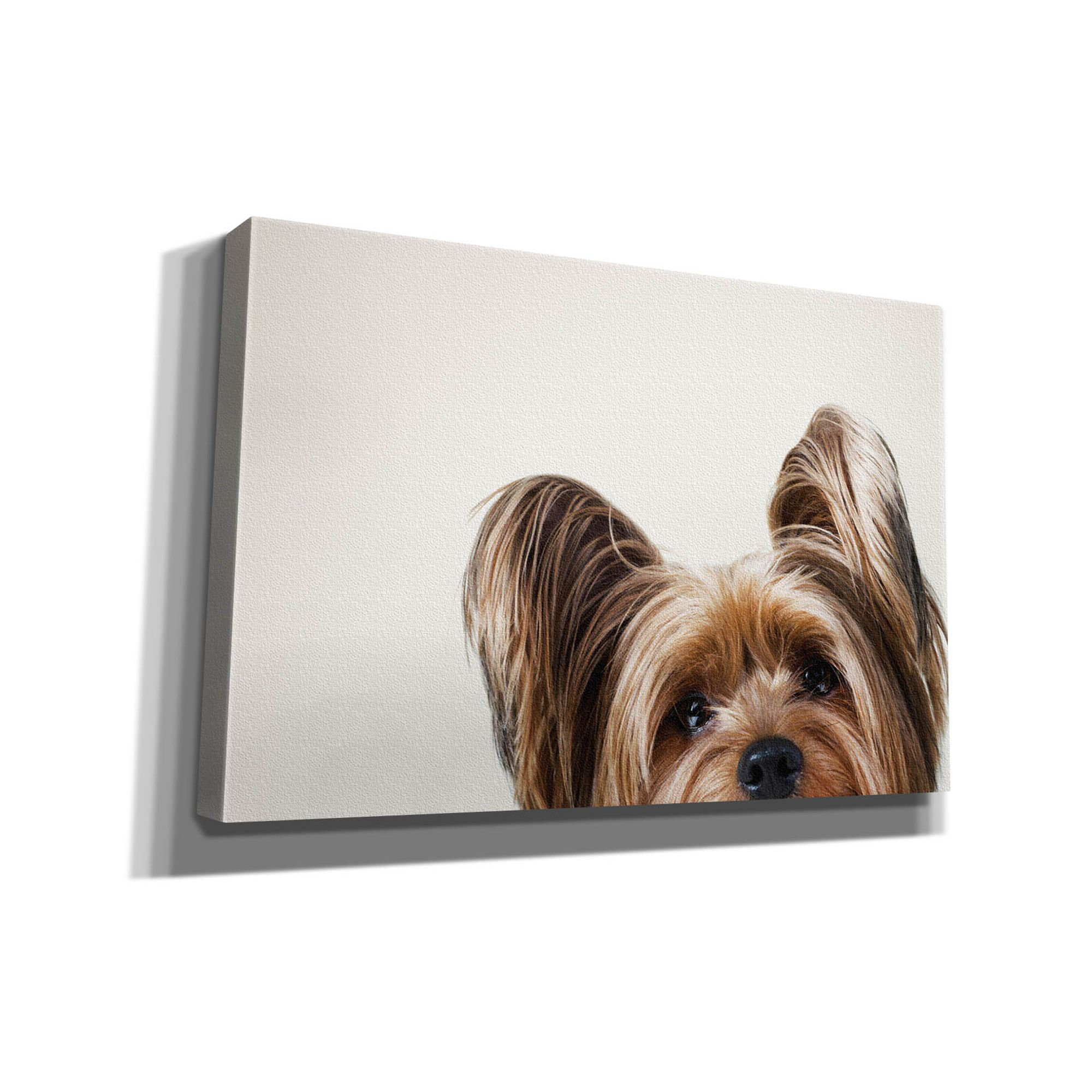 Latitude Run® 'Jeri' By Susan Sabo, Canvas Wall Art - Wayfair Canada