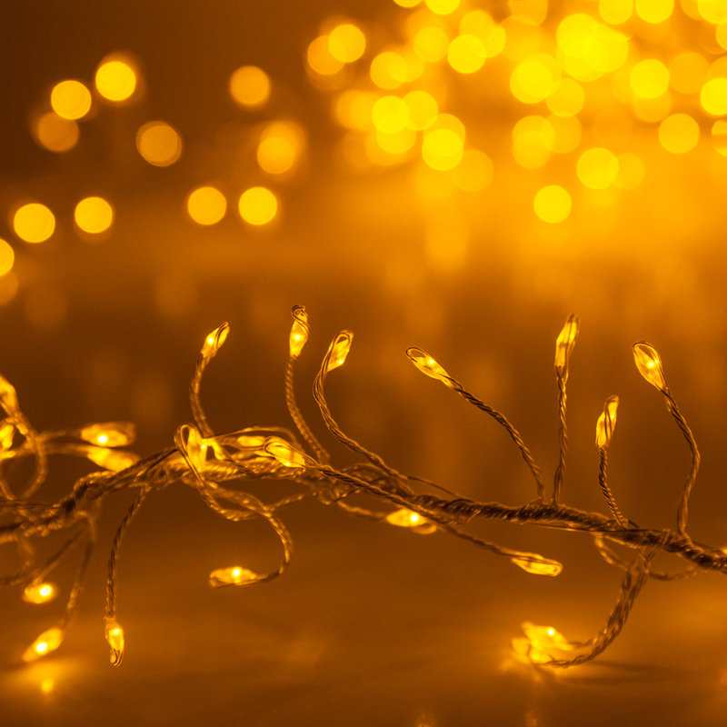 The Holiday Aisle® 8' LED Fairy Light Garland String Lights & Reviews ...