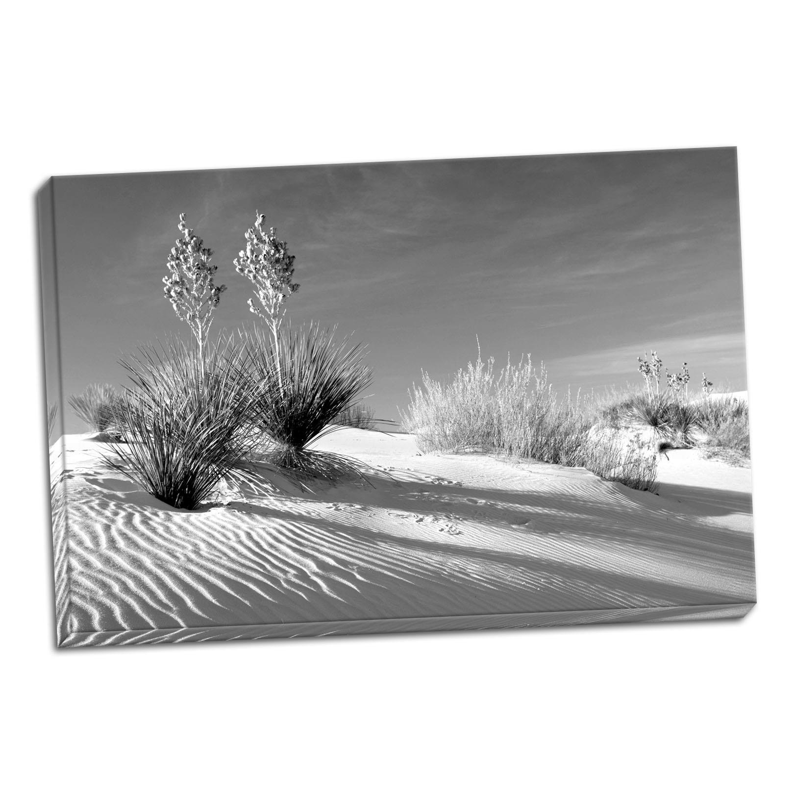 Highland Dunes 'Shadows in the Sand II' Photographic Print on Wrapped ...