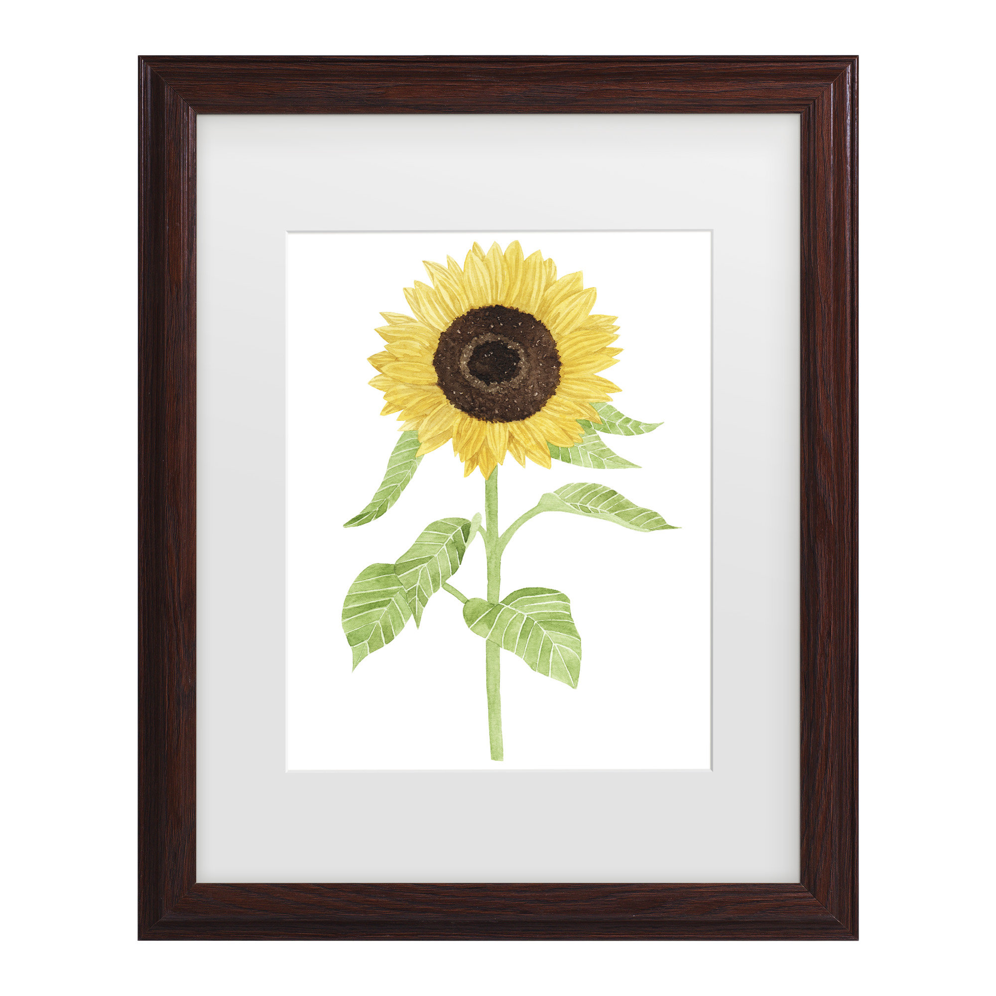 Trademark Fine Art Sarah Frances Sunflower Matted Framed Art | Wayfair