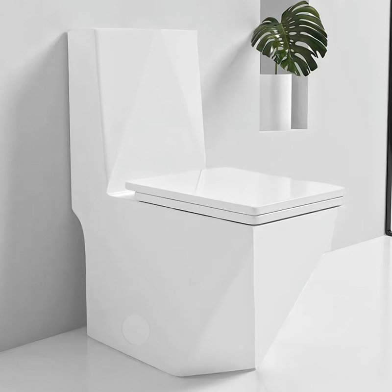 Yingze Fixtures Square One Piece Toilet Dual Flush 1.6 GPF Elongated ...