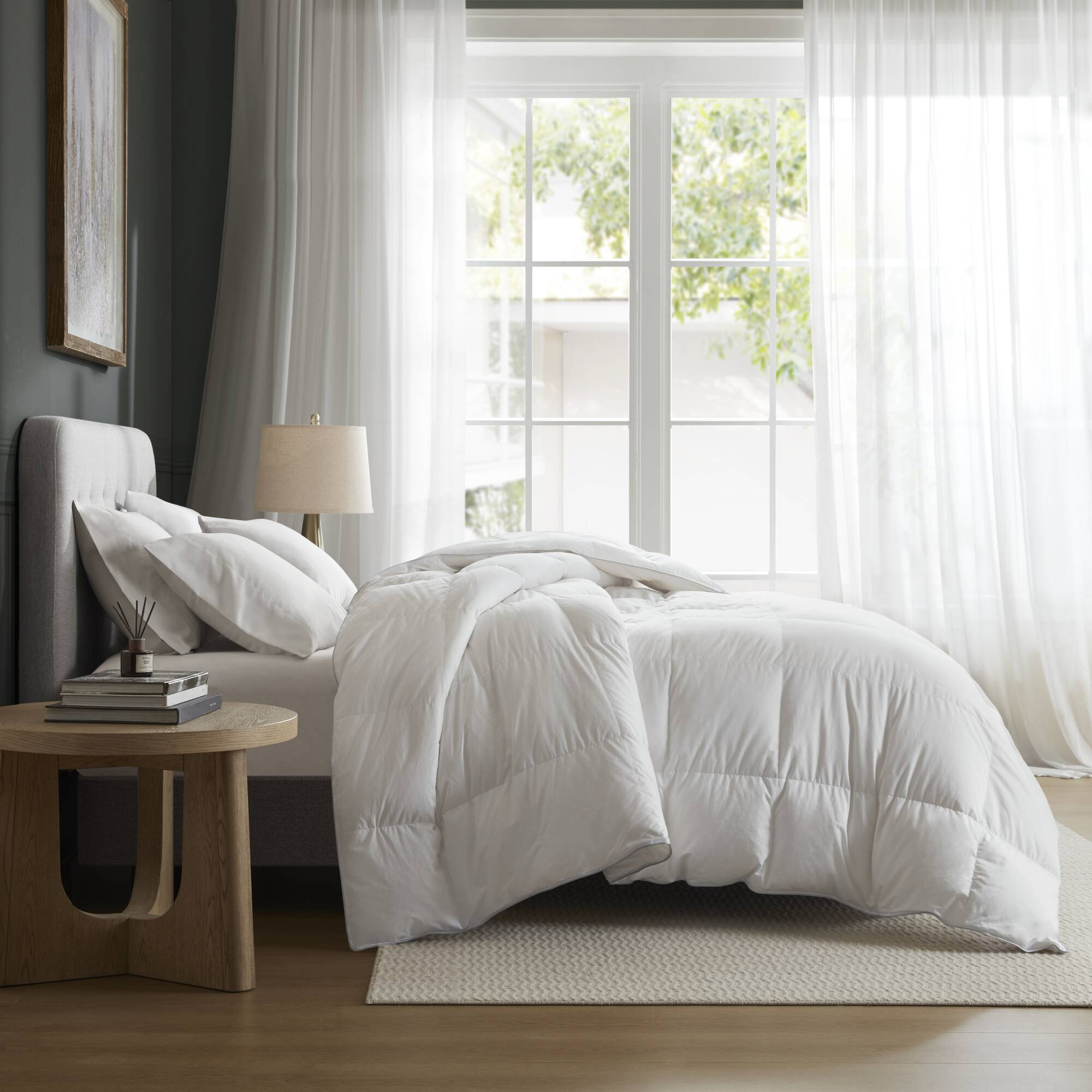 Harbor House White Goose Down 100% Cotton Shell Comforter | Wayfair