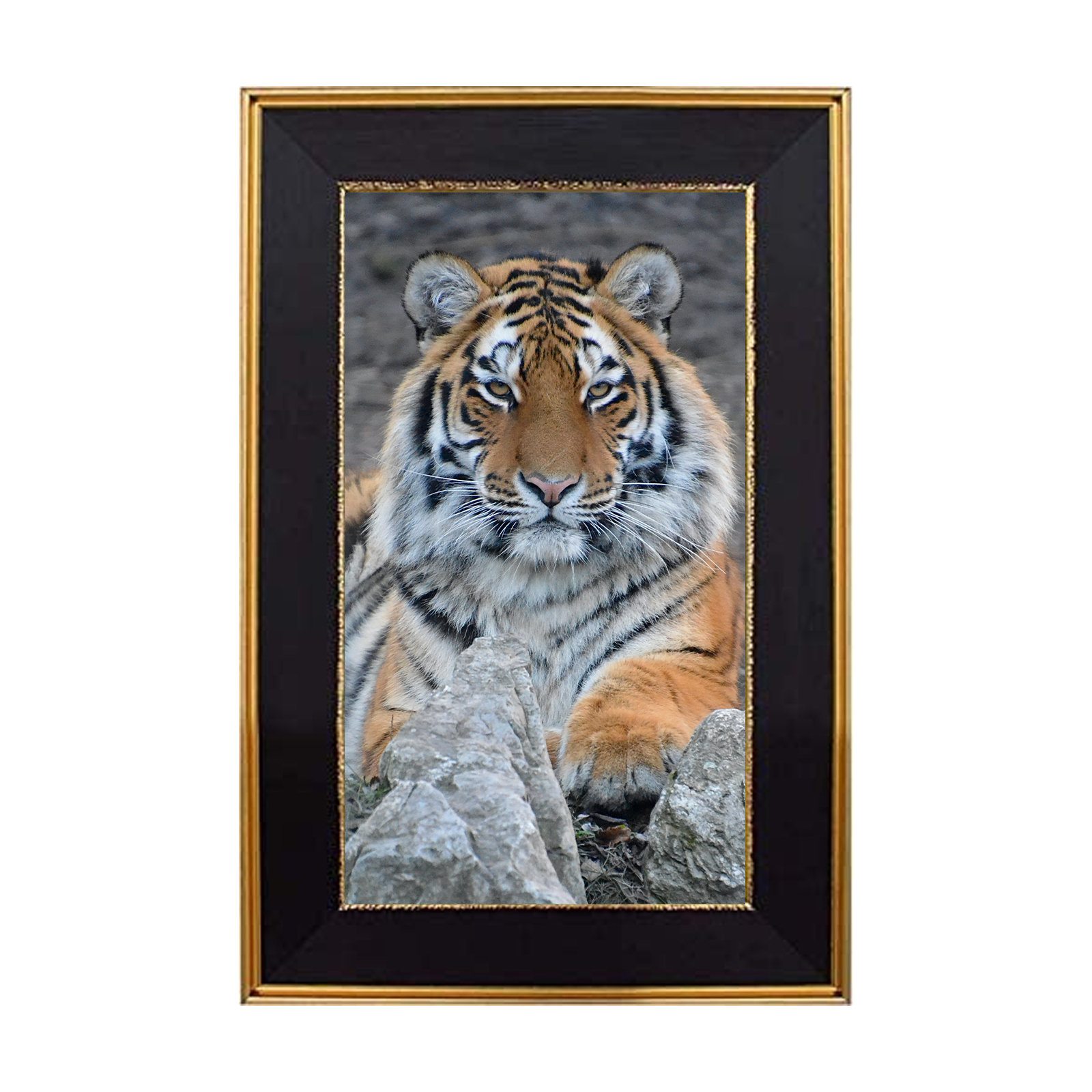 House of Hampton® Fareedah Picture Frame | Wayfair