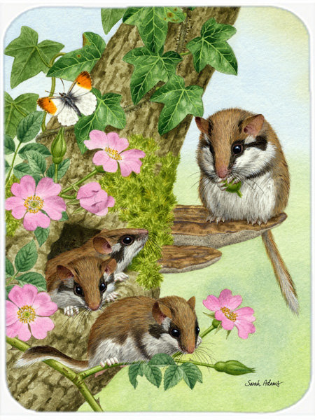 Caroline's Treasures Dormouse Dormice Glass Cutting Board | Wayfair