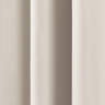 Latitude Run® Phylicia Polyester Curtain & Reviews | Wayfair