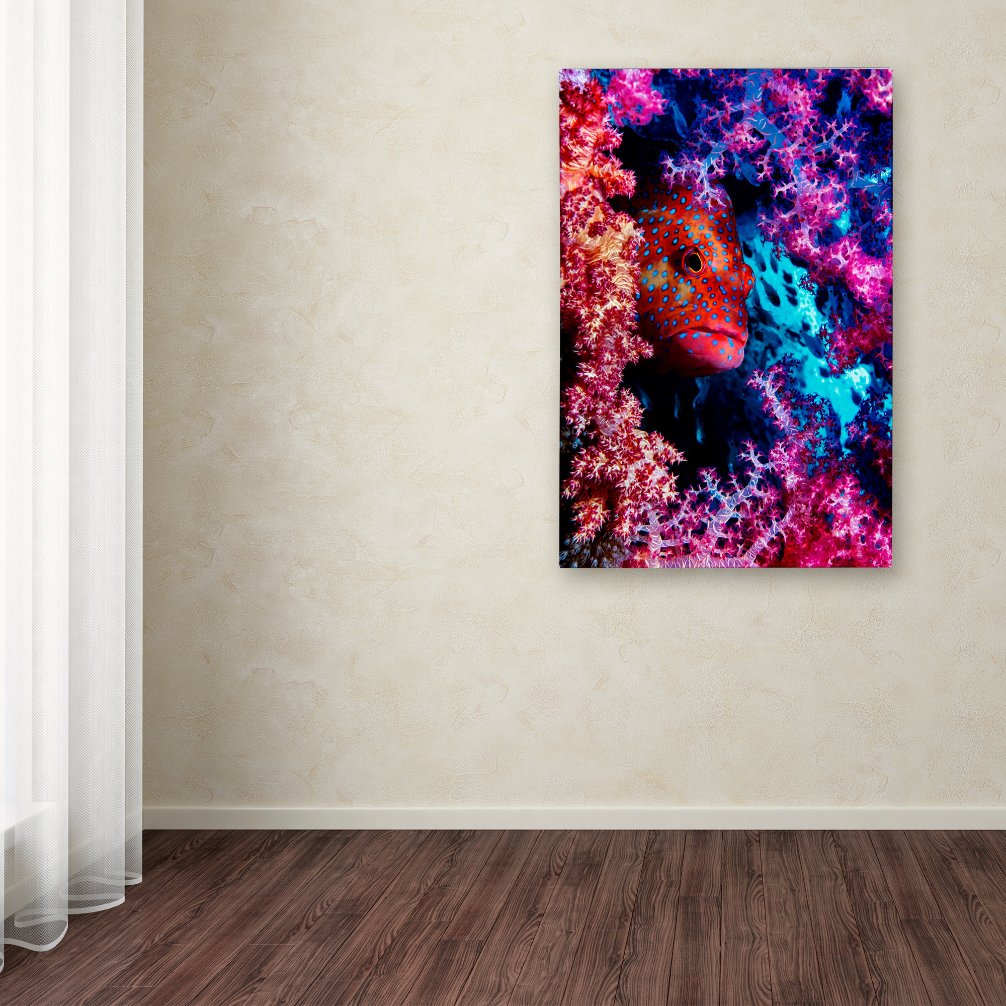Trademark Fine Art 'Coral Hind' Graphic Art Print on Wrapped Canvas ...