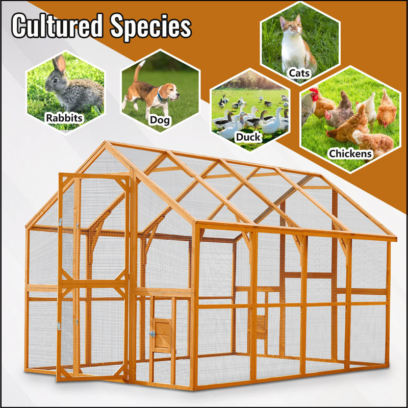 Tucker Murphy Pet™ 111" Large Chicken Coop With Waterproof Cover ...