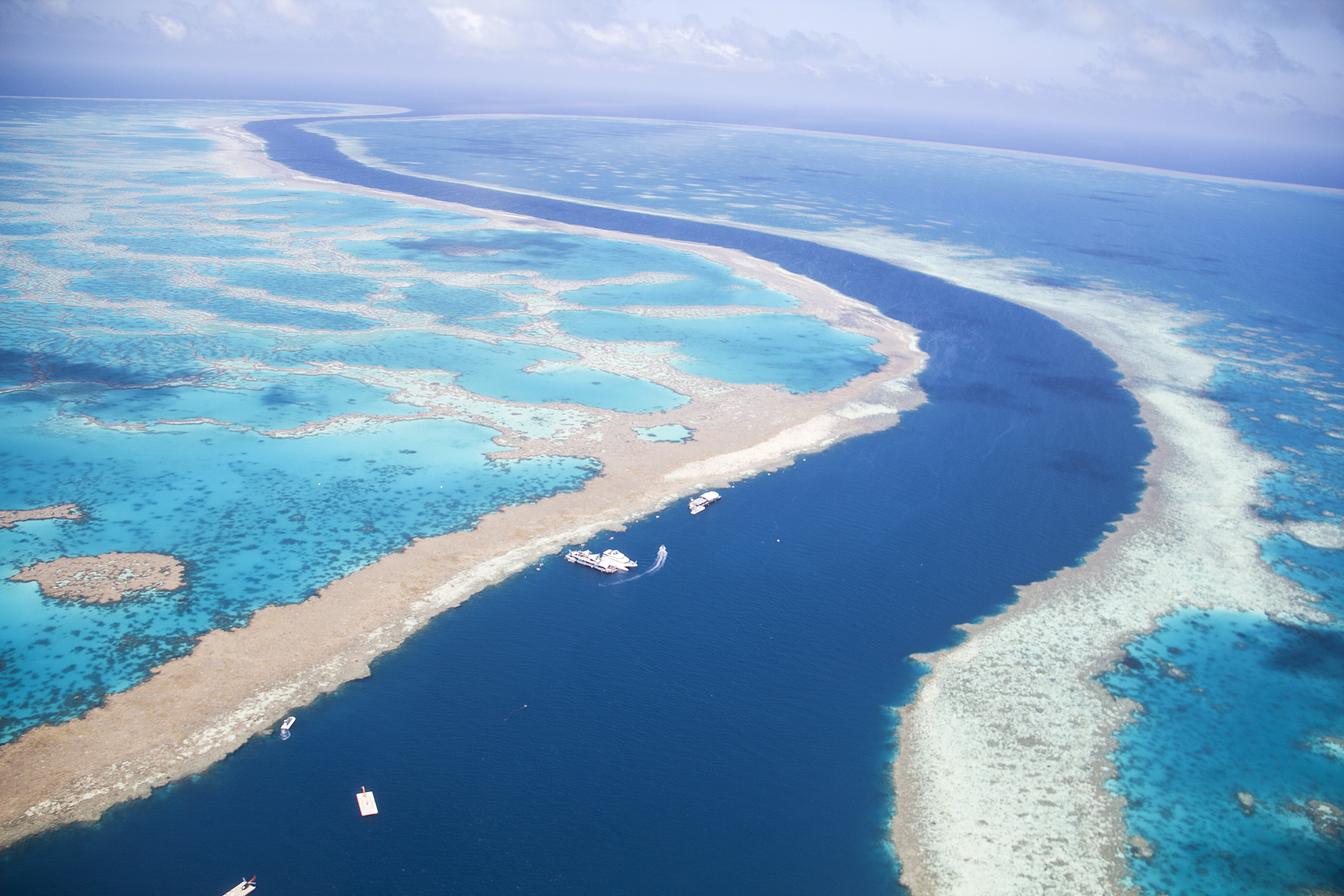 Highland Dunes Tidal Channel Through The Great Barrier Reef - Wayfair ...
