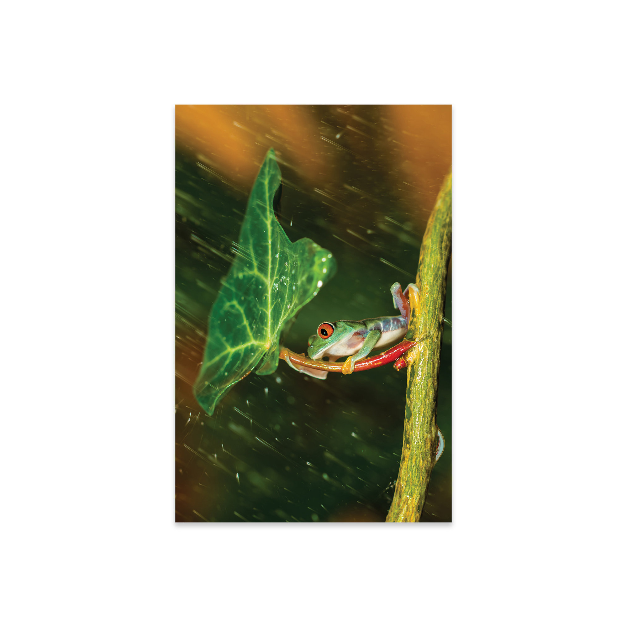 Latitude Run® Harl Ohh Noo It's Raining by Kutub Uddin - Unframed Print ...