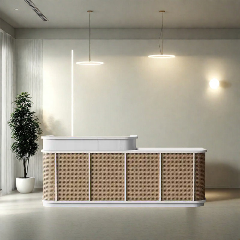 Artistic Soul XKX Premium Furniture Rectangular Modern Front Desk ...