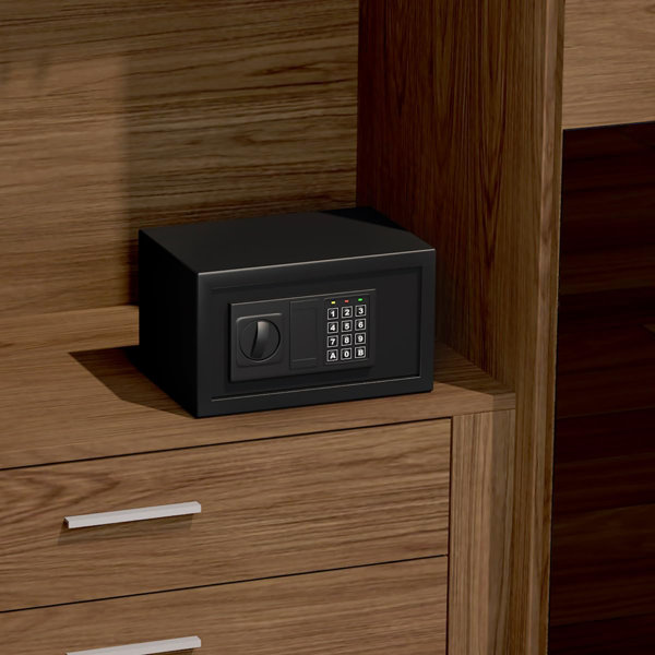 Banchy&Beauty Security Safe Lock | Wayfair