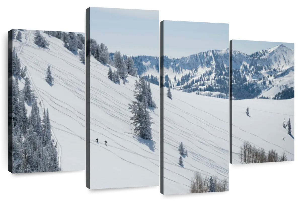 Millwood Pines Alvord Wasatch Mountain Skiing - Wayfair Canada