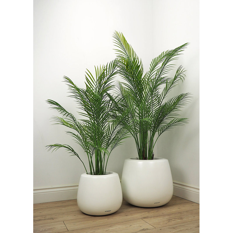 Bayou Breeze Faux Botanical Areca Palm in Green Finish 59" Height | Wayfair