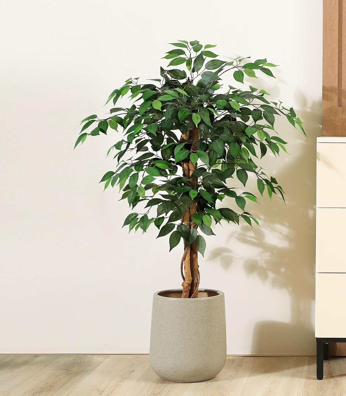 Primrue 5ft Artificial Ficus Tree with Natural Wood Trunk, Silk Fake ...
